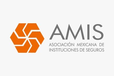 historia_seguros - AMIS